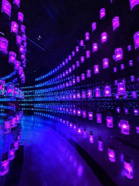 Museum of the Future: Where Innovation, Art and Science Collide | Baby ...